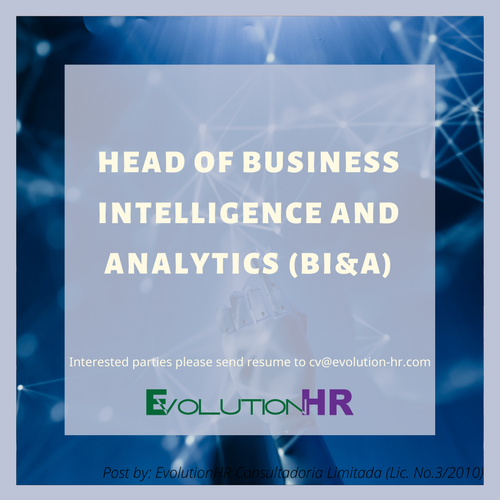 Head of Business Intelligence and Analytics (BI&A) | evolutionhr