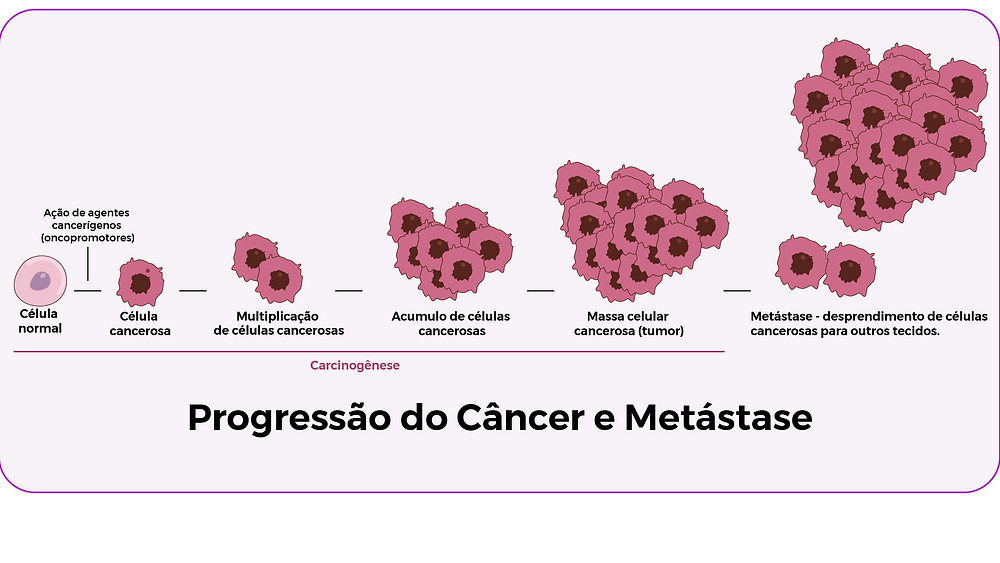 Tudo o que você precisa saber sobre o câncer.