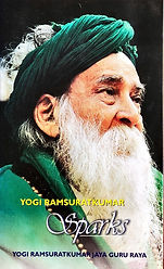 Publications | Yogi Ramsuratkumar