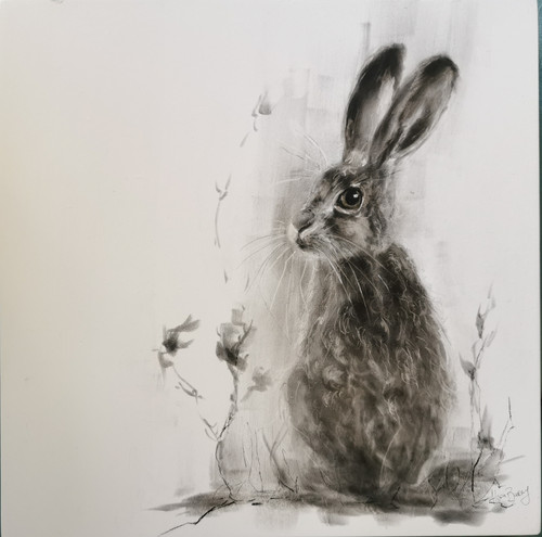 Wild World | Alison Barry