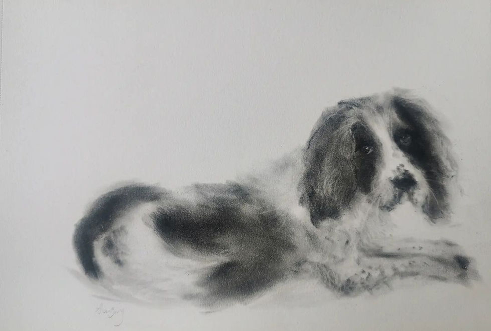 Original Paintings | Alison Barry