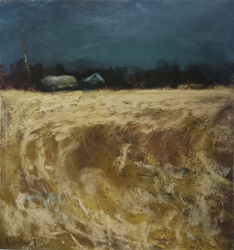 August Field | Alison Barry