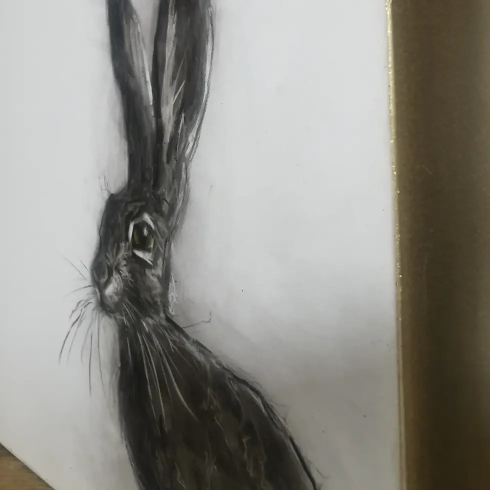 Original Paintings | Alison Barry