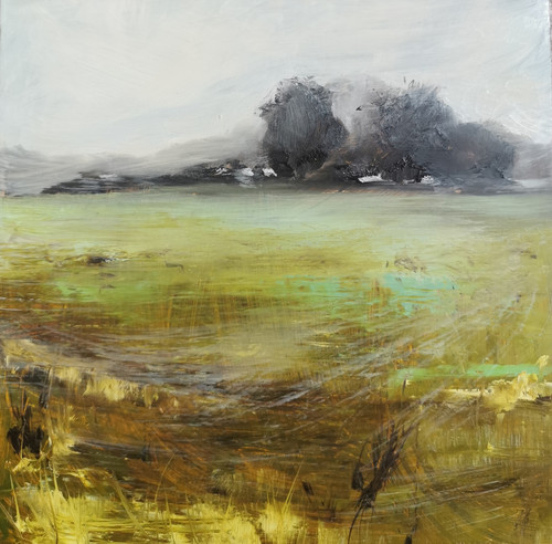 Morning veil | Alison Barry