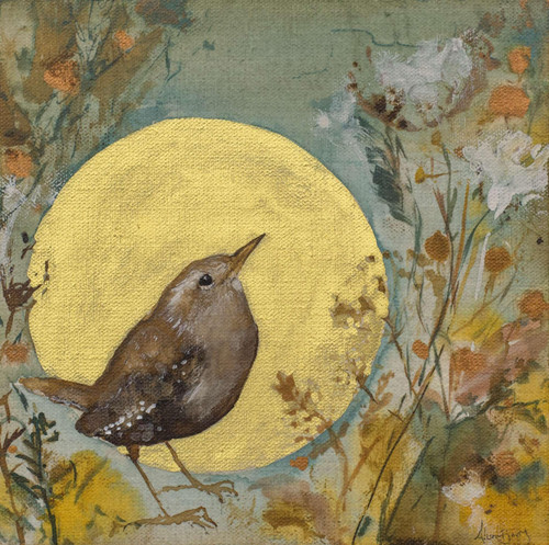 Little Mighty Wren | Alison Barry