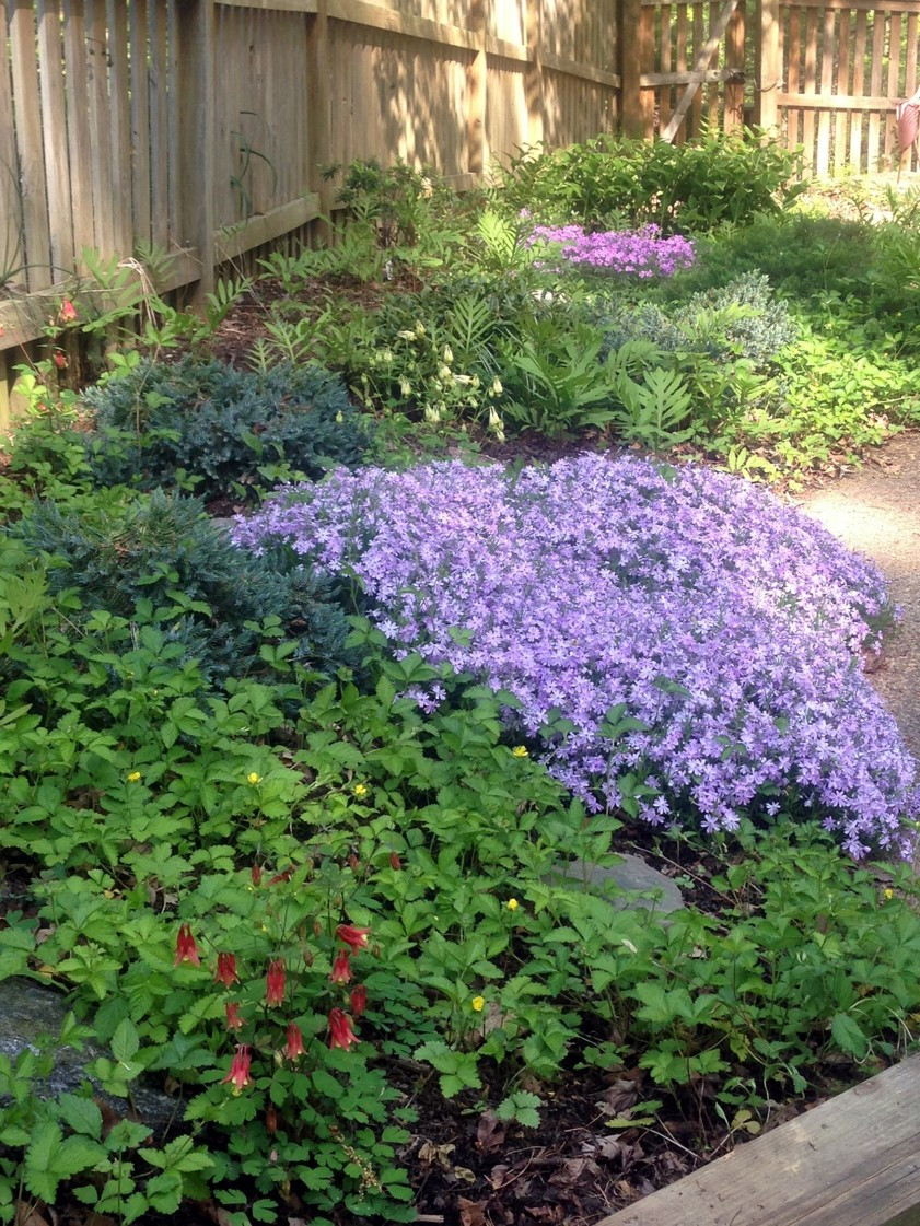 Garden Design Tips | Virginia, USA | Plant NOVA Natives