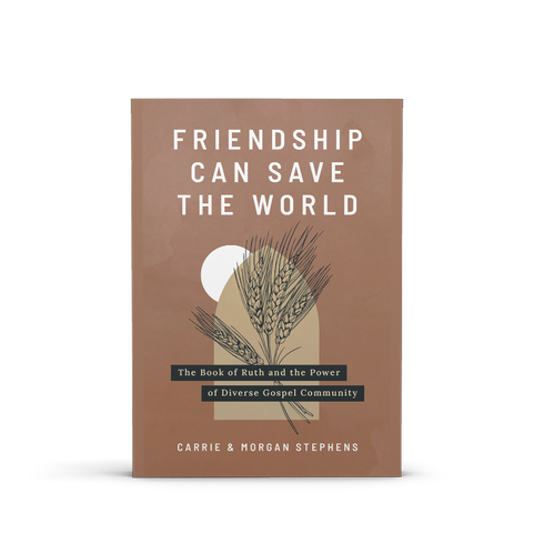 Friendship Can Save The World | Publications ENSA