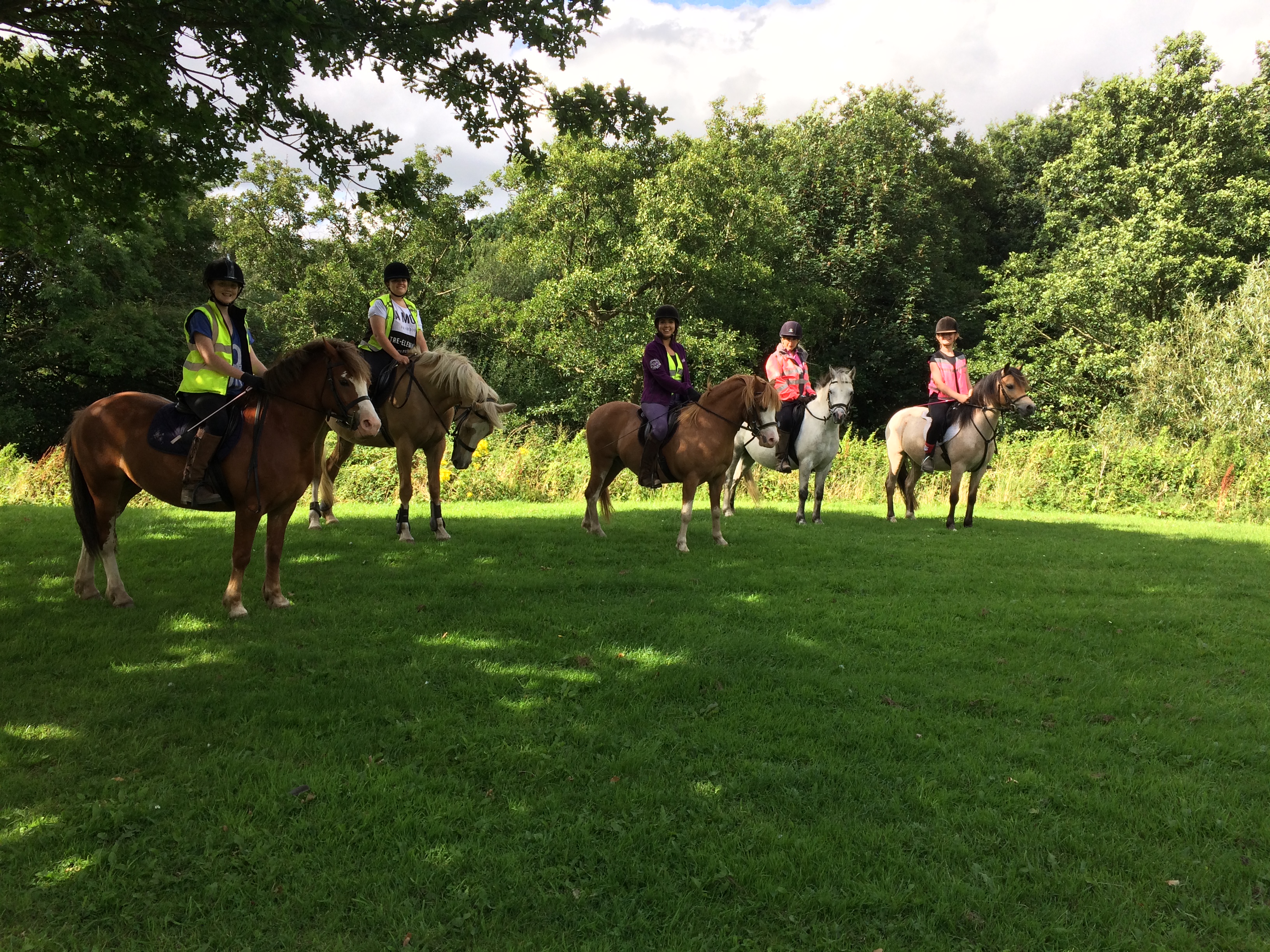 Pony Days | Friends Lane Riding