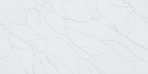 TCE Stone | Quartz International