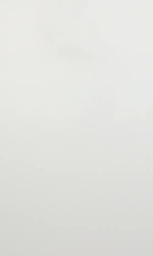 TCE 4001 Pure White | Quartz International