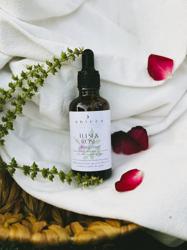 Tulsi Rose Elixir | Anicca - Dani Ibanez