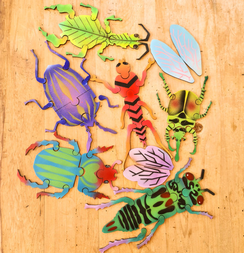 The Beetle Game | My Site 1