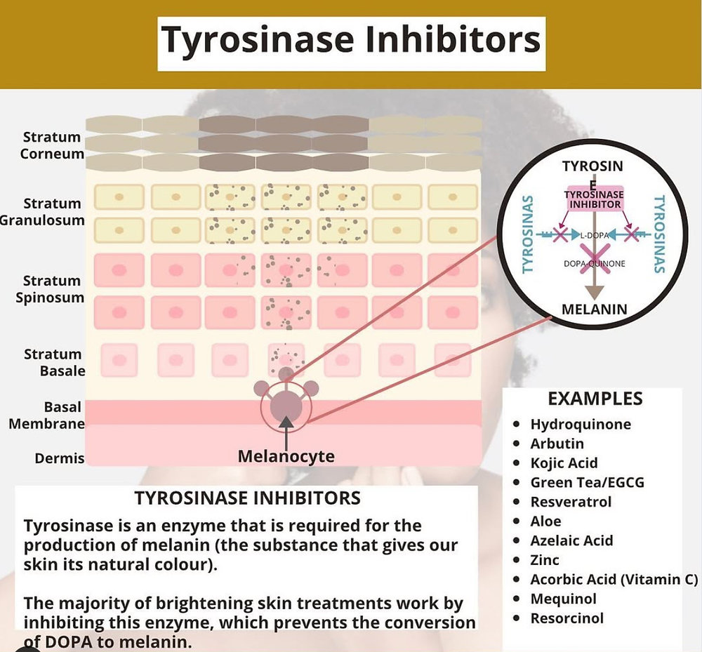 The science behind Tyrosine inhibitors to brighten the skin