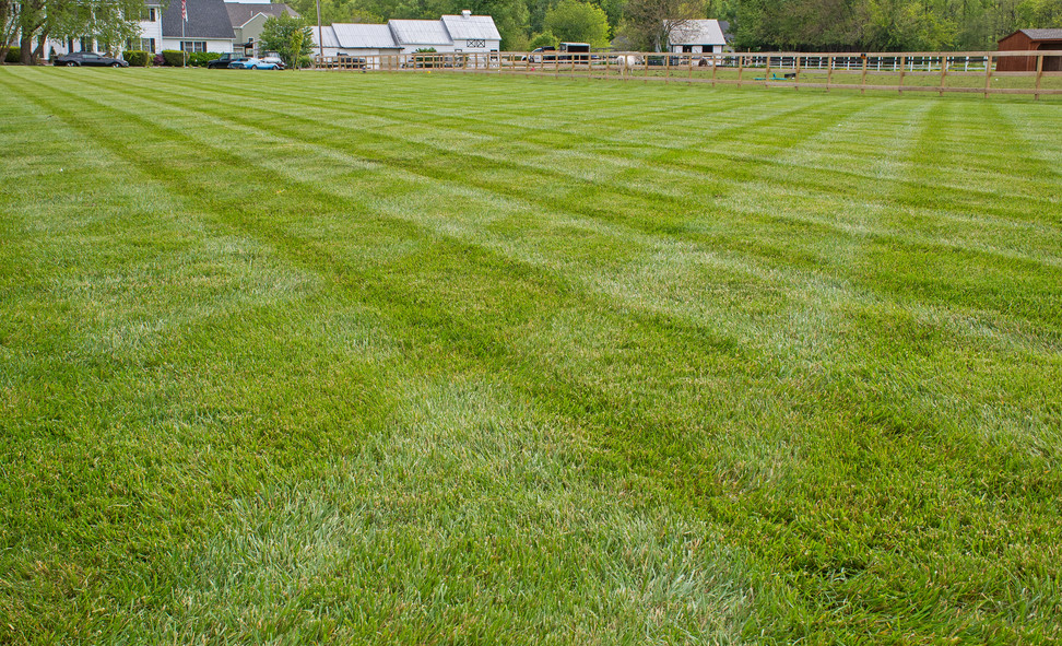 LAWN CARE MAINTENANCE | Delaware Landscaping