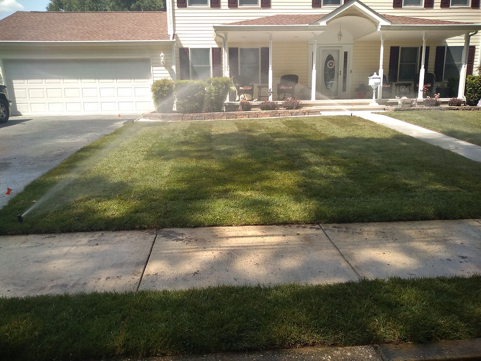 GALLERY | Delaware Landscaping