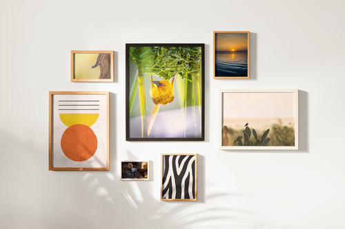 All Products | Joshua Bernardo