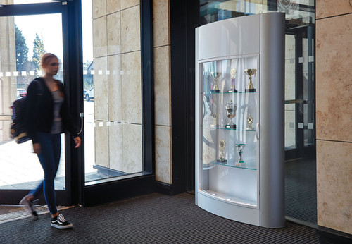 Floor Standing Trophy Showcase Display Cabinet | Spaces Taylored