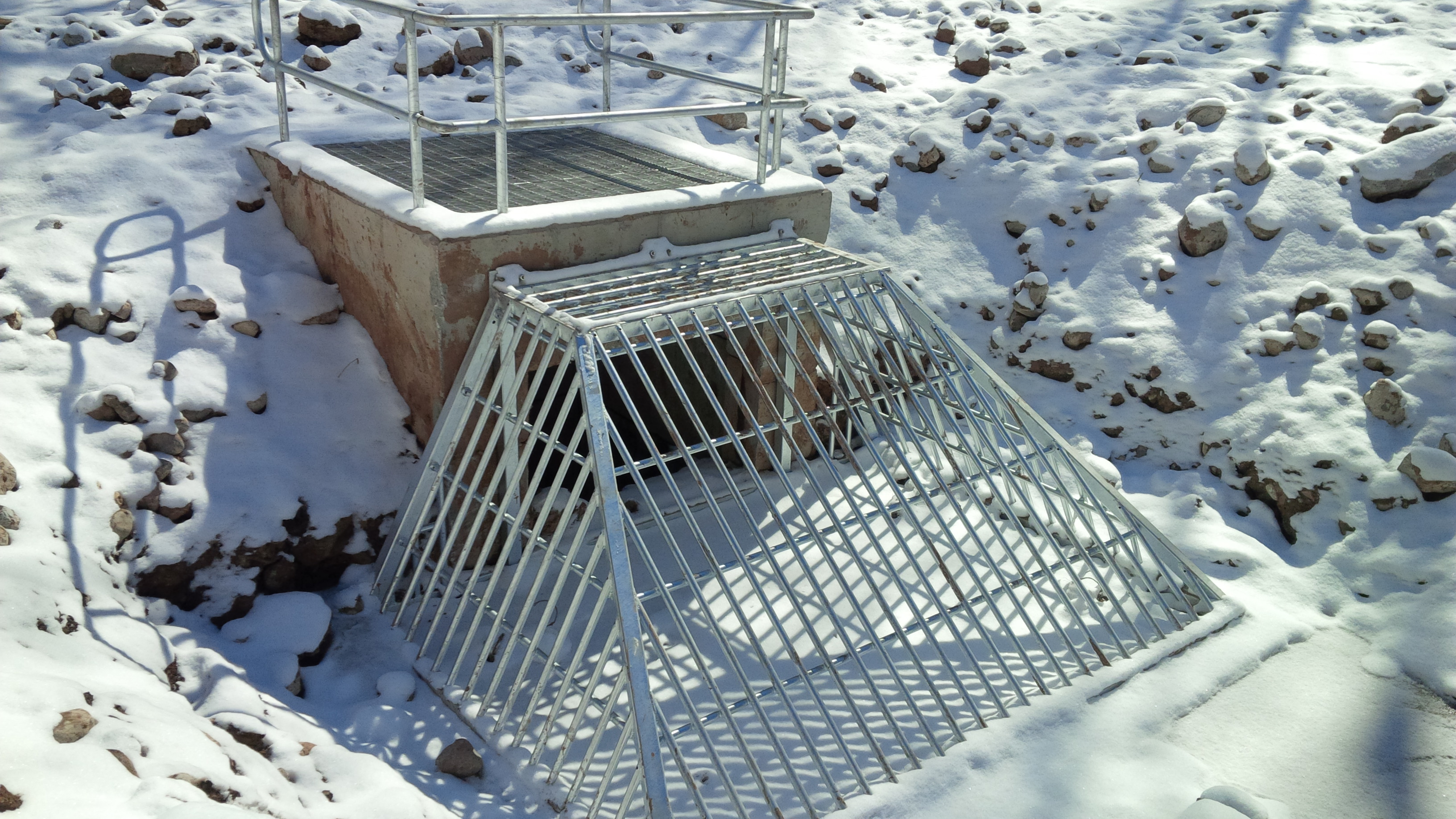 Home | Resilient Consulting Corporation