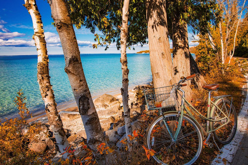 Fall Bike Ride | It's Wonderful Photo