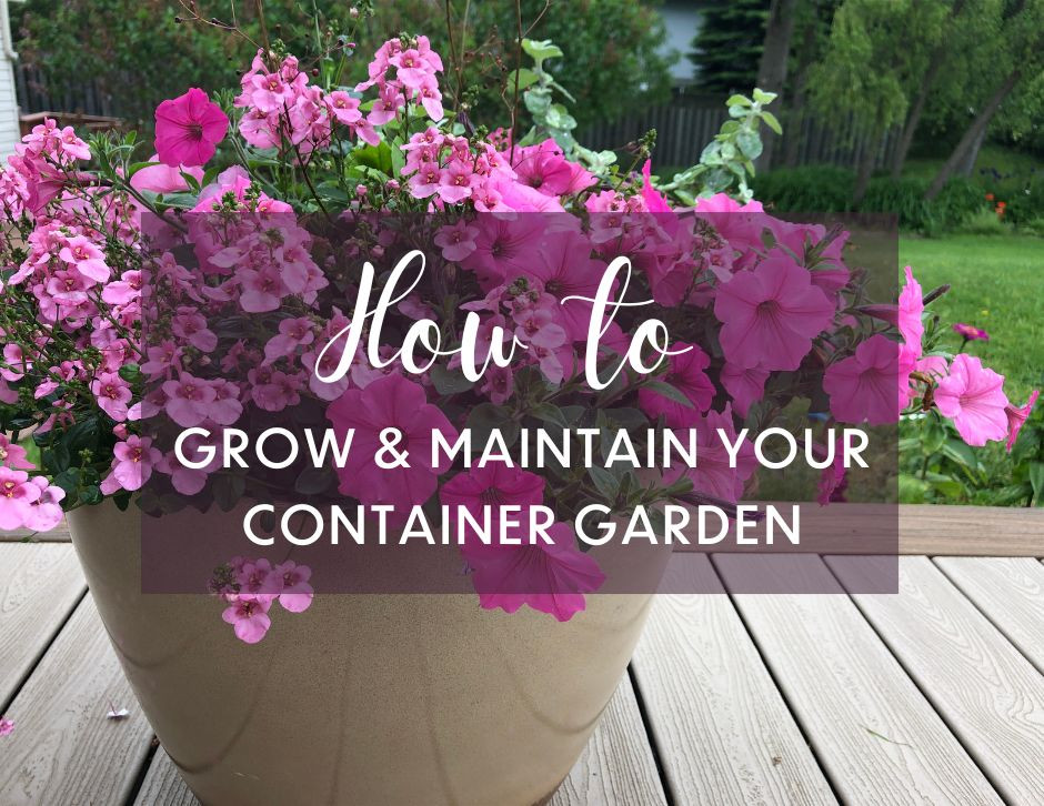 How To Grow & Maintain Your Container Garden