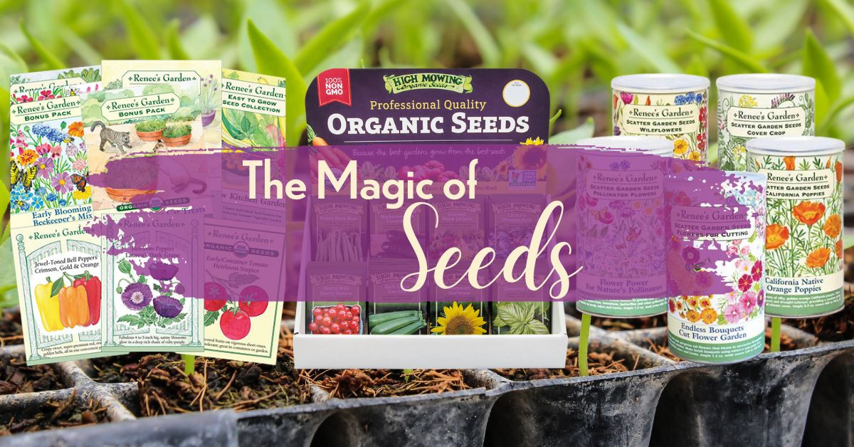 The Magic of Seeds