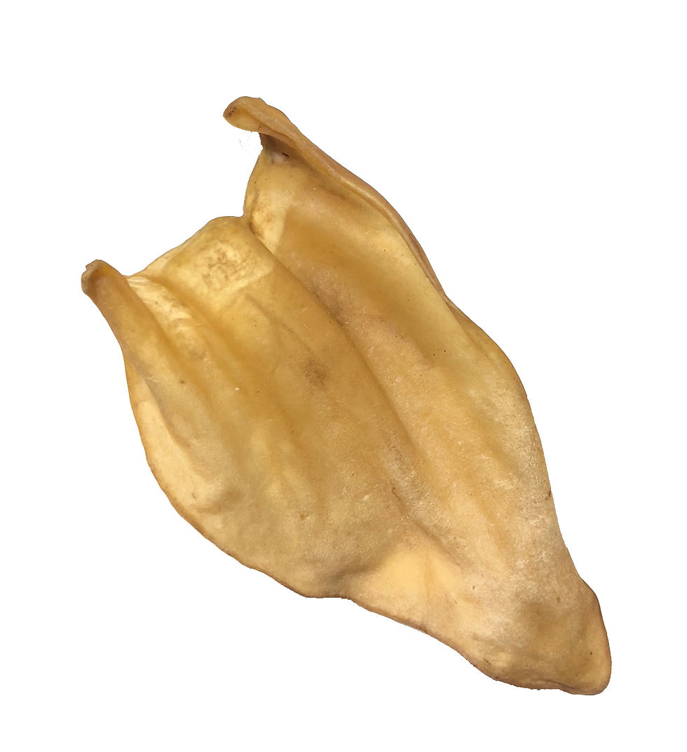 Water Buffalo Ears | QT Dog