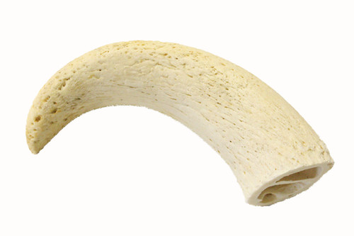 Water Buffalo Horn Core Chews | QT Dog