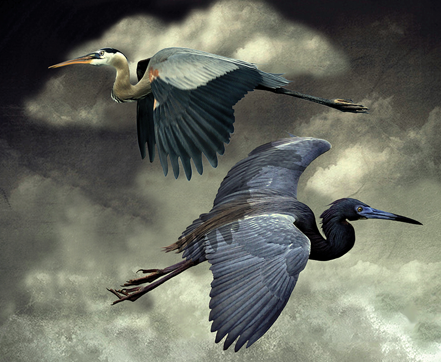 Early Years | artist-diane-naylor