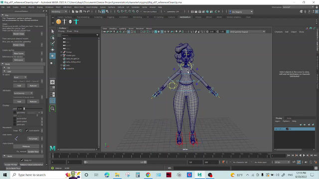 Body Rig