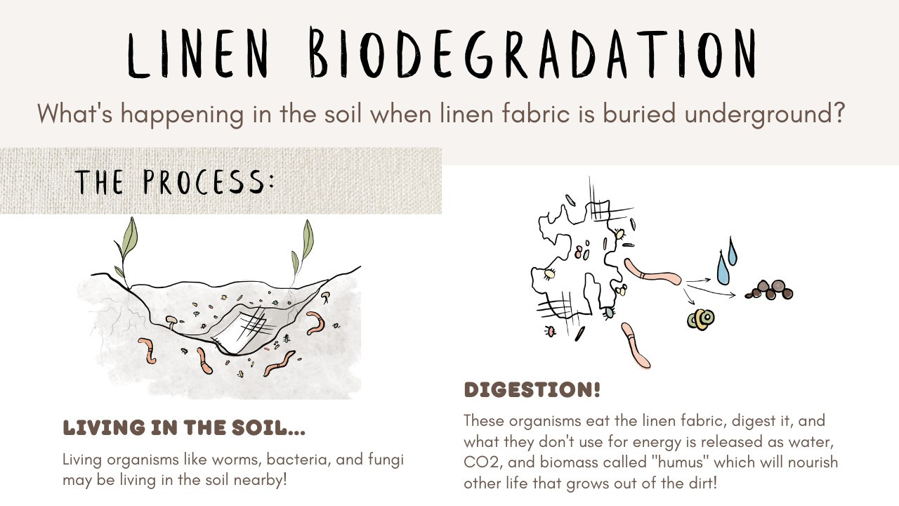 Biodegradation: What's happening in the soil?