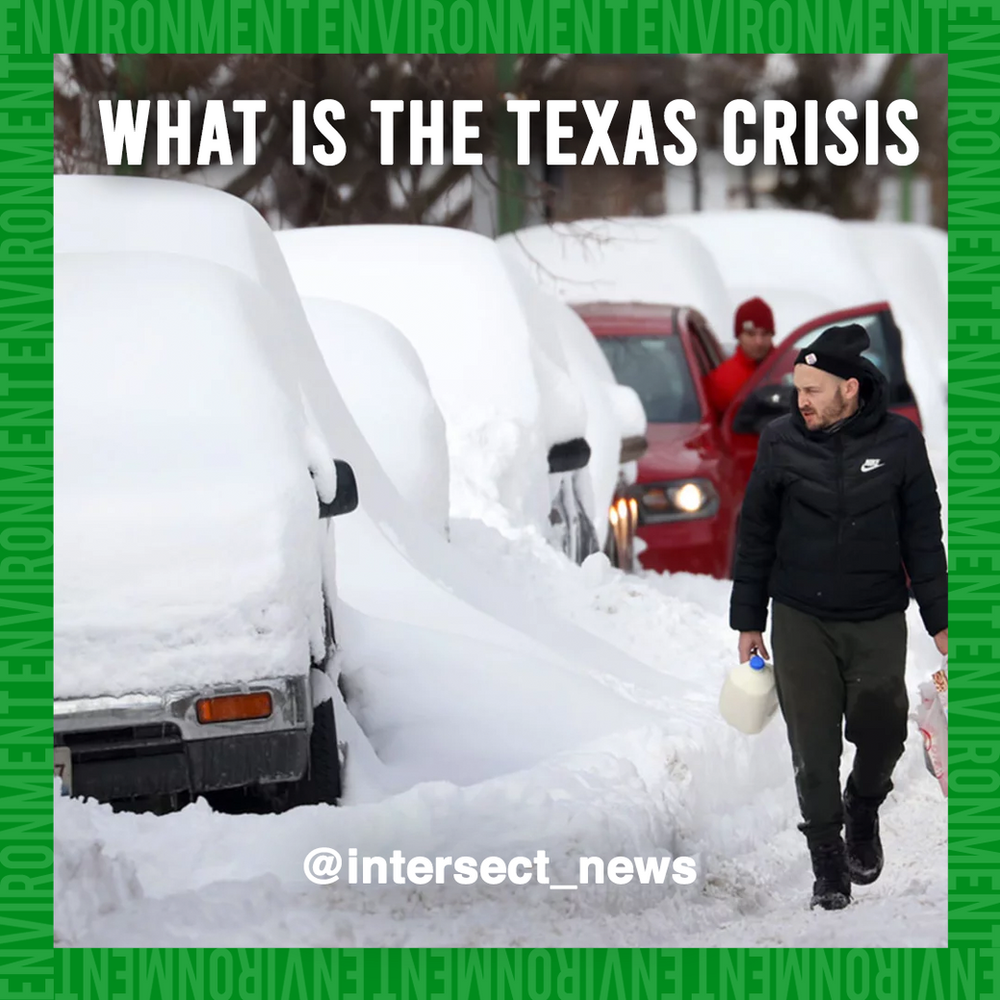 What is the Texas Crisis?