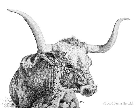 how to draw longhorns