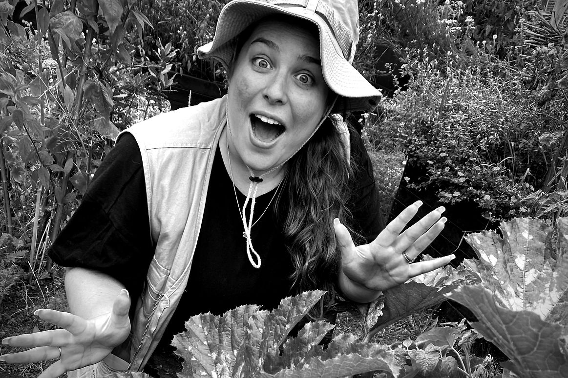 The Park Ranger | the collective