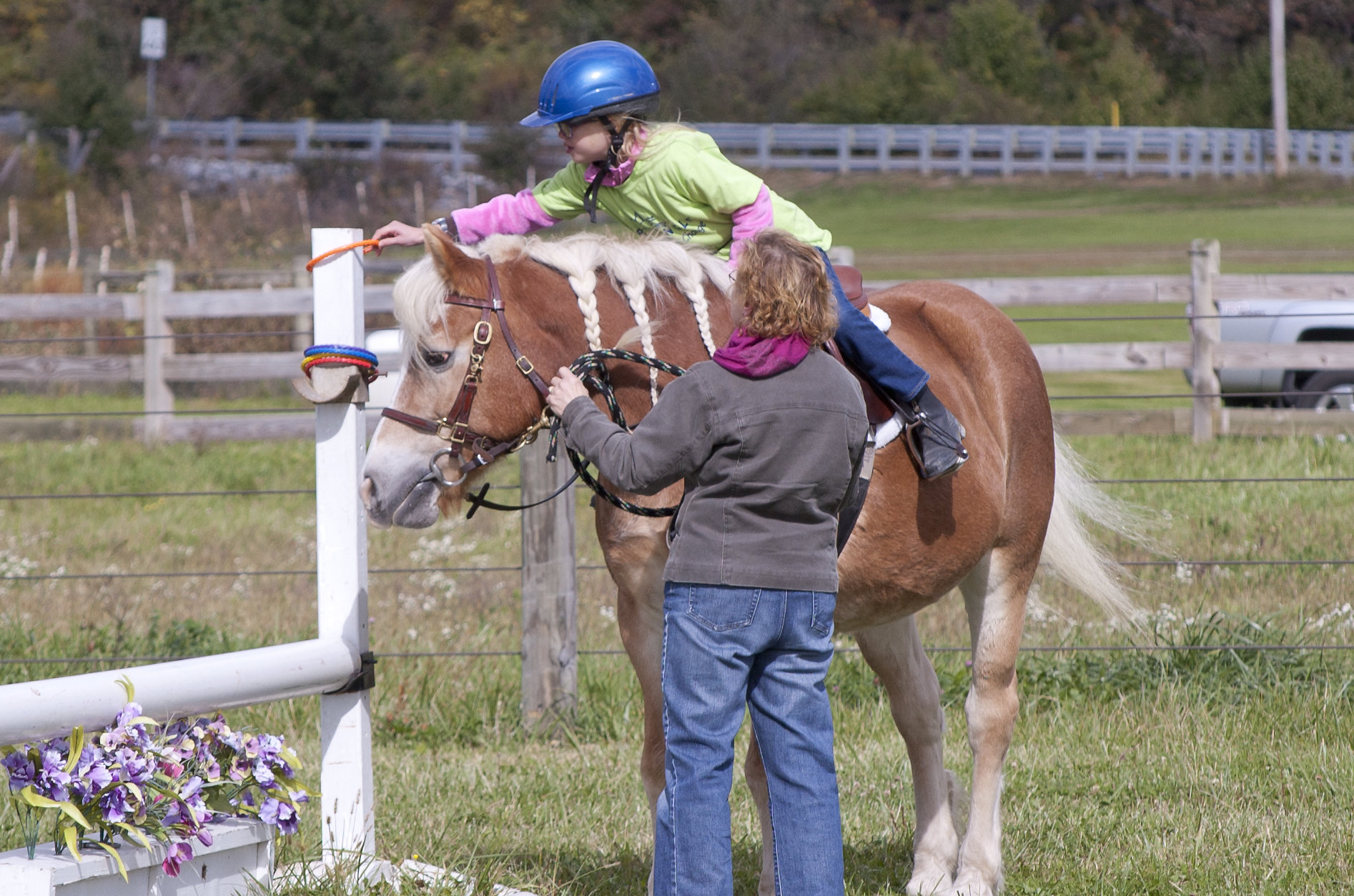 Triangle Therapeutic Riding