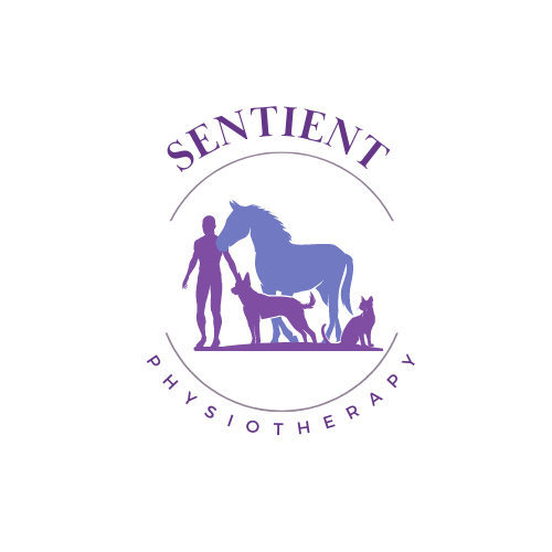 Sentient Physiotherapy Animal & Human Physiotherapy