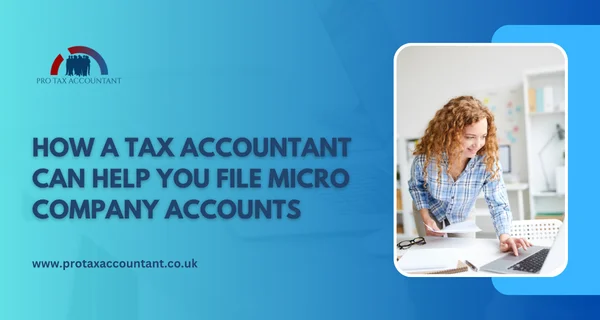 Micro Company Accounts Explained | A Complete Guide