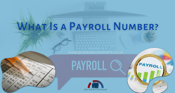 What Is a Payroll Number? How to Find it?