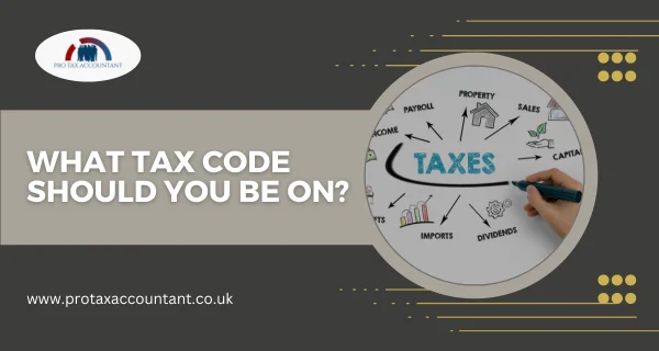 What Tax Code Should You Be On? | Learn it All!