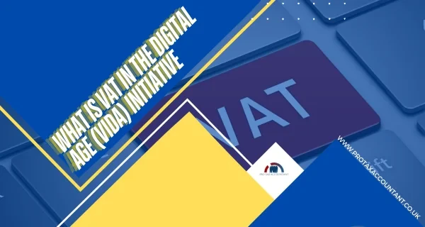What is VAT in the Digital Age (ViDA) Initiative?