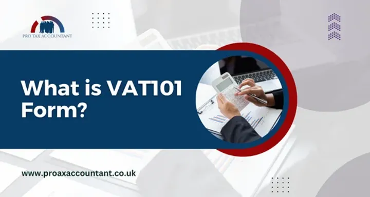 What is VAT101 Form? | The Most Comprehensive Guide