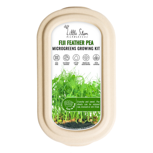 Home growing kits | Little Stem Microgreens