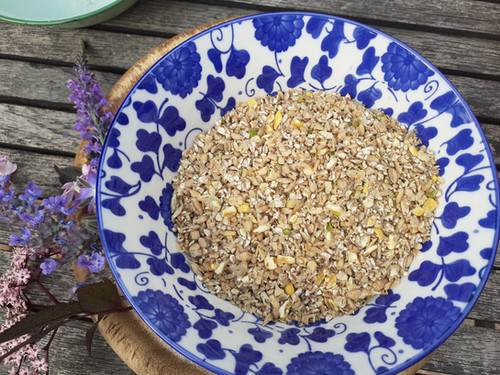 Alpha-Conditioning Feed | Clare Taylor