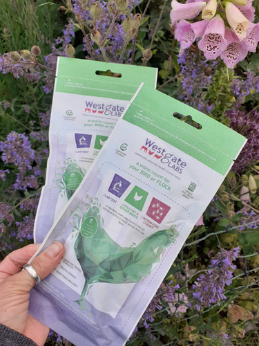 Westgate Labs, Faecal Worm Test Kit | Clare Taylor