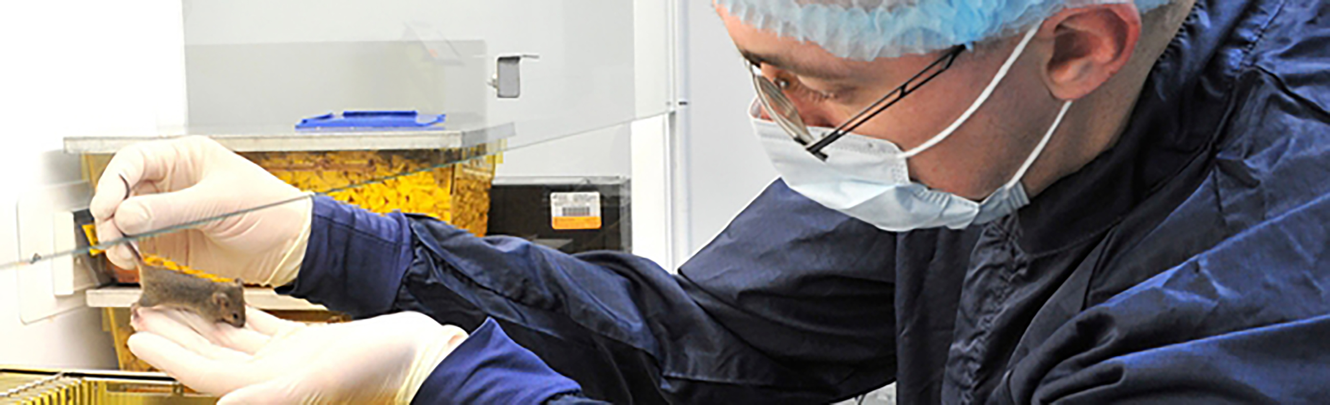 Careers | instanimaltech