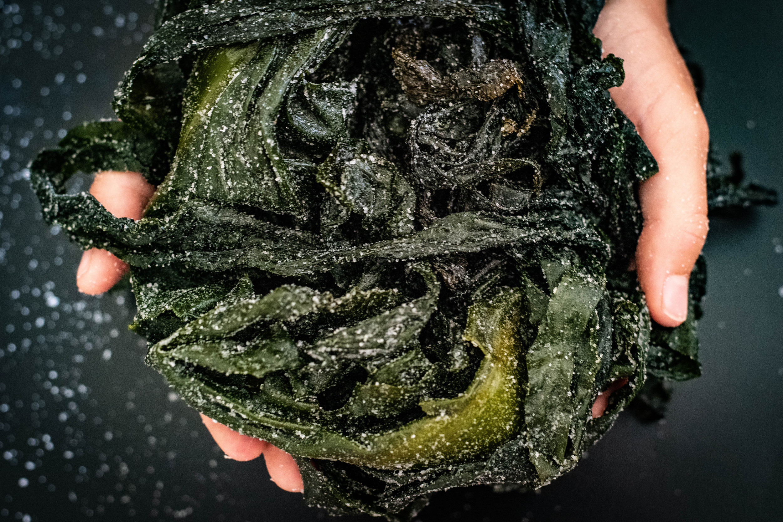 Algue Alimentaire Bio | HepKen Algues Bio | France