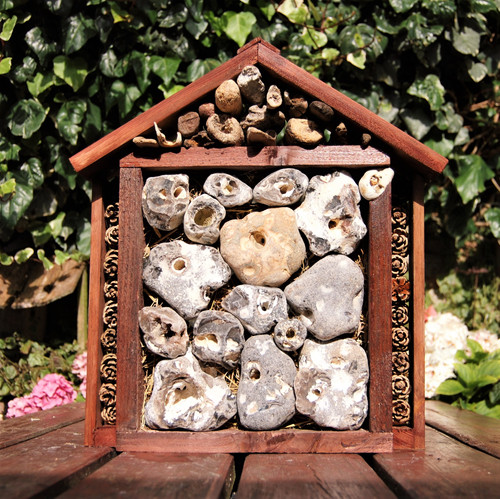 Insect/bug/bee house | Fossilbox