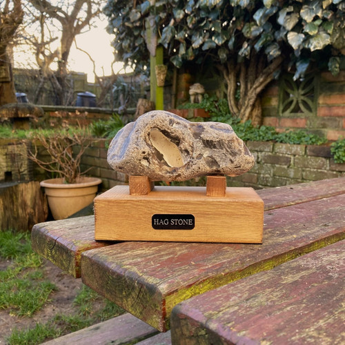 Large Hag stone | Fossilbox