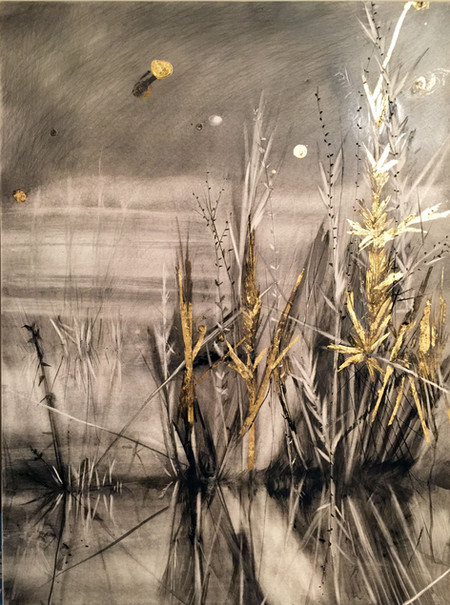 Drawings | Rachel Kohn Studio