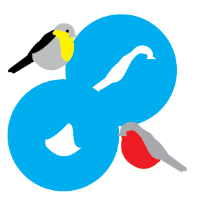 Colourful Birds soap extruder discs | I Dream In Soap