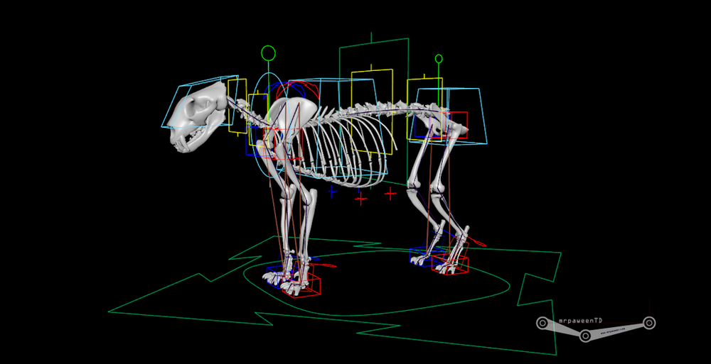 Creature rigging system analysis